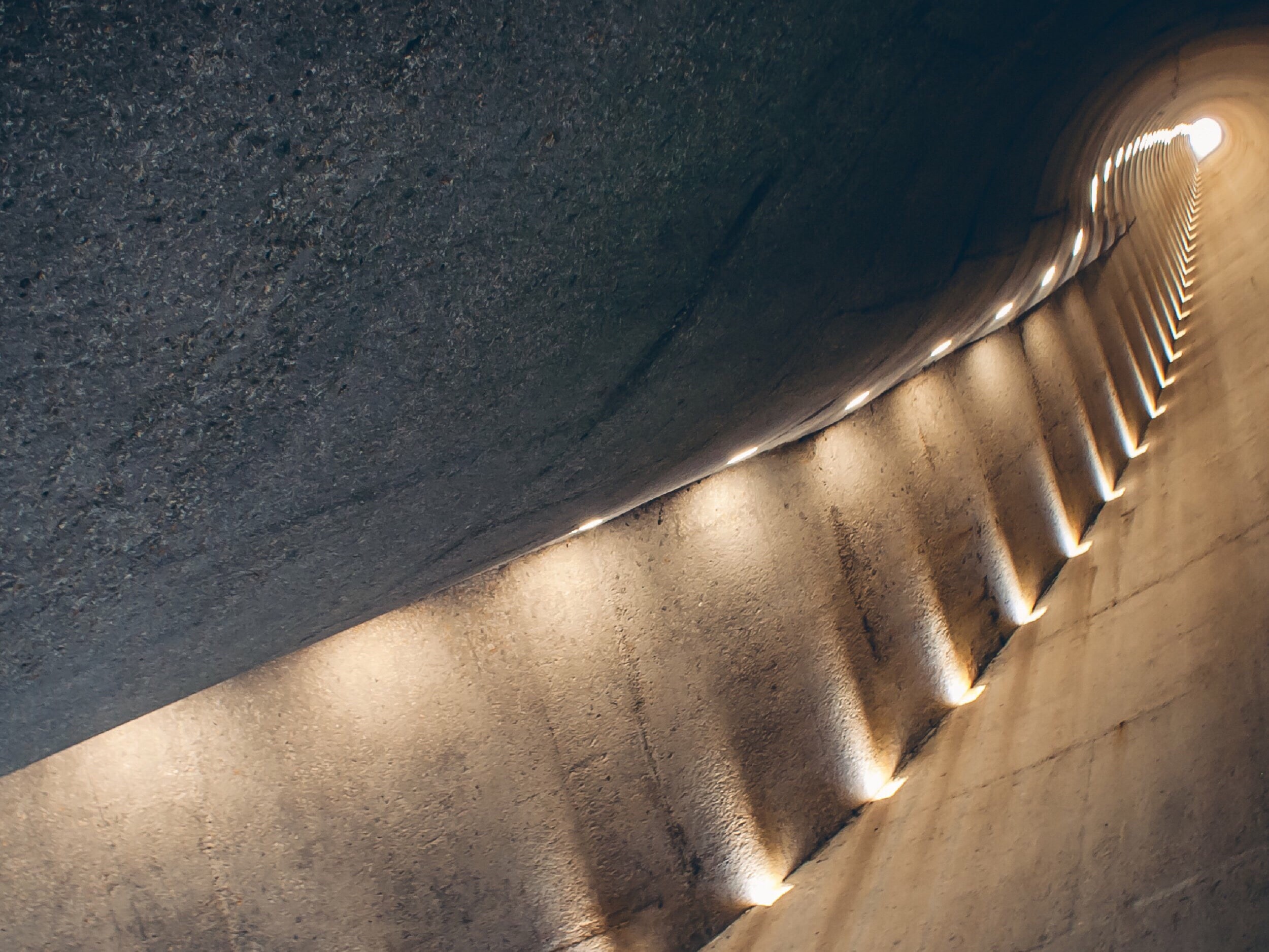 How Selective Perception Influences Us | Omescape